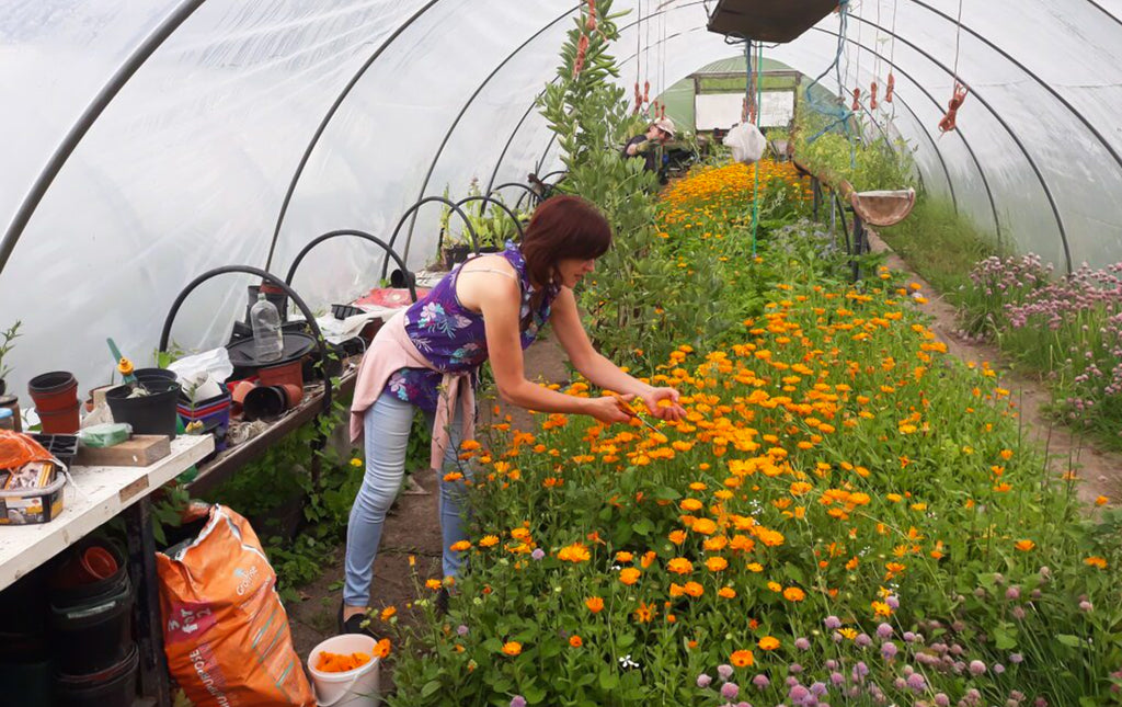 Karen Stuart - Karuna Essentials– The Leitrim Design House